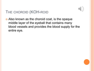 Structures of the Eye | PPT