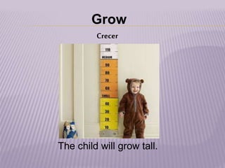 Irregular Verbs. | PPTX