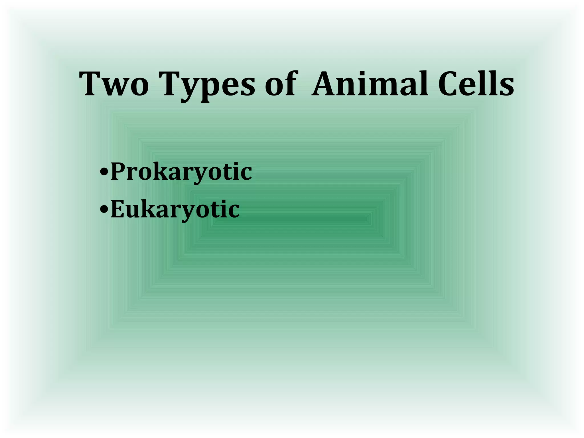 Ingles celula animal | PPT