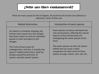 Ingles especies en extincion | PPTX