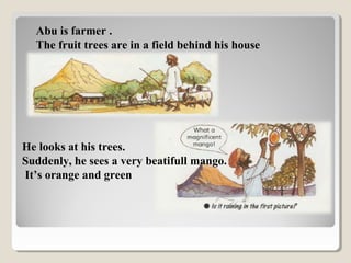 The Magnificent Mango | PPT