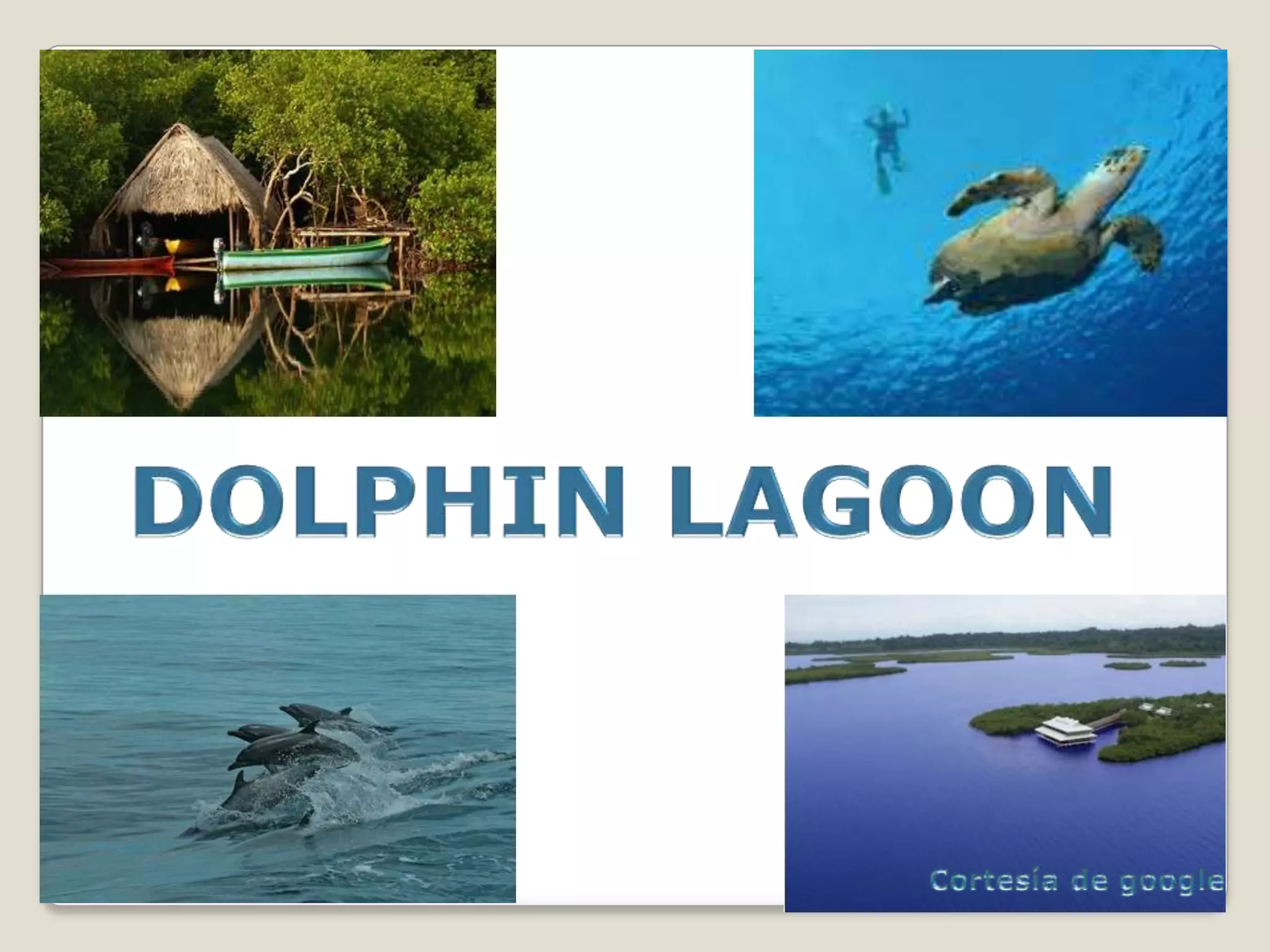 Ingles nilka bocas del toro | PPTX