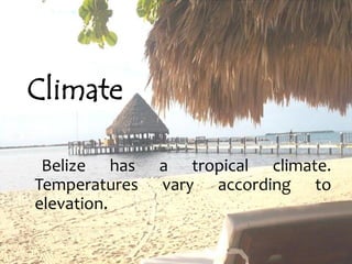 Belize | PDF