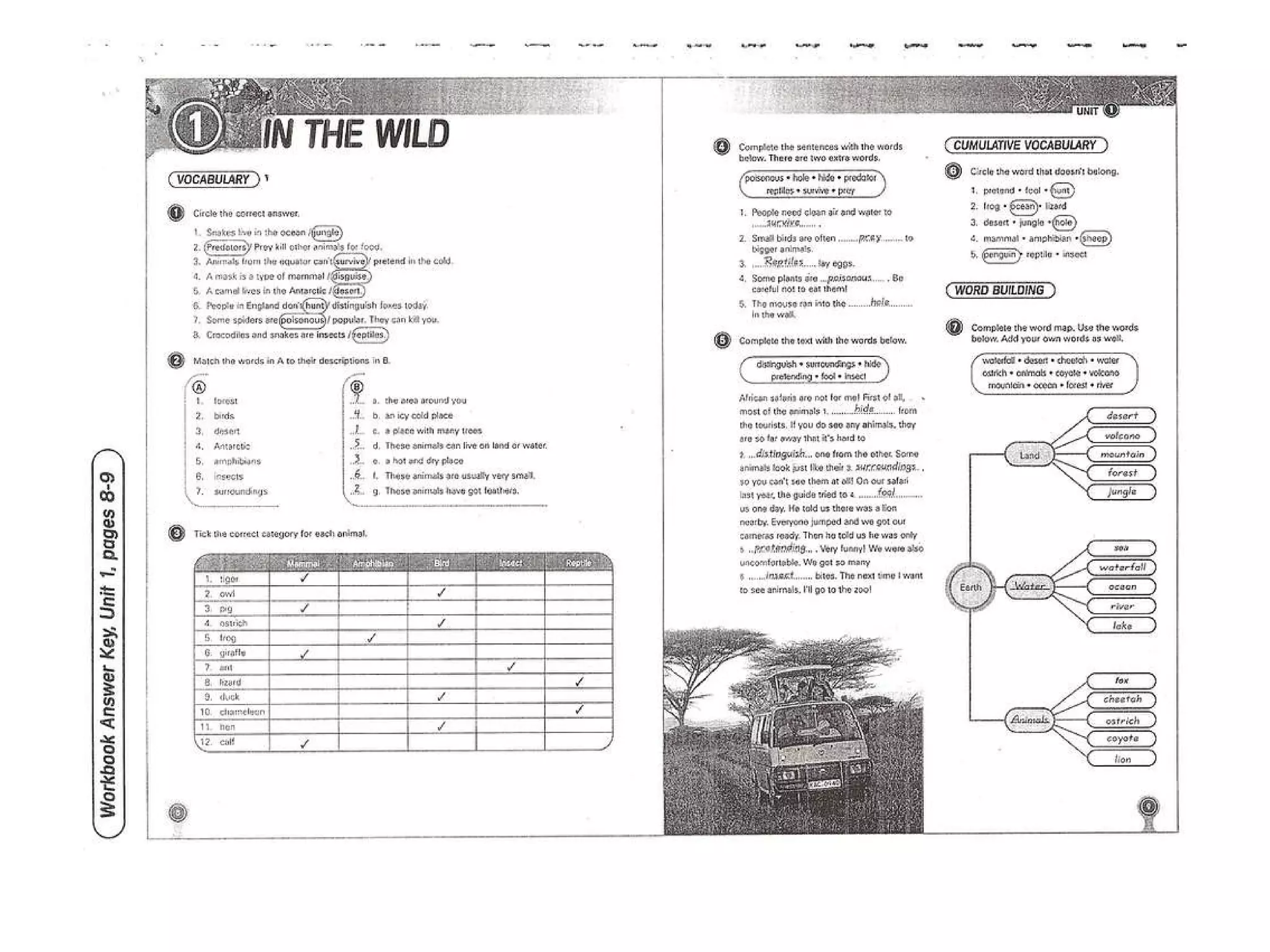 Ingles, Workbook | PPT