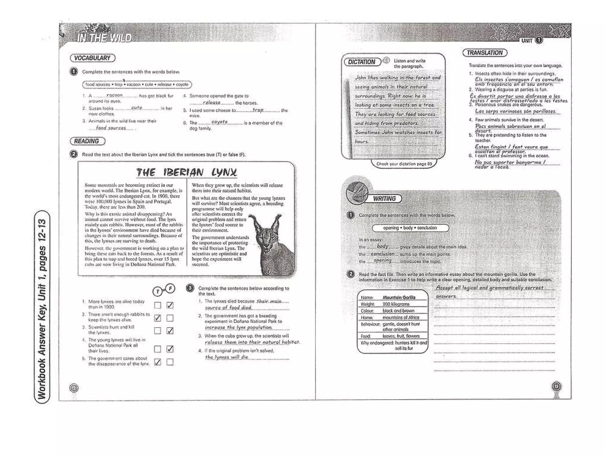 Ingles, Workbook | PPT