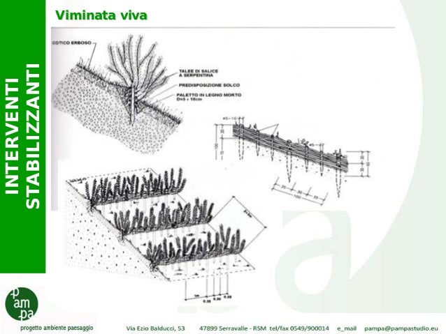 INGEGNERIA NATURALISTICA 1