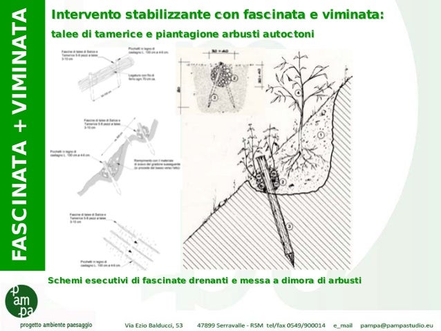 INGEGNERIA NATURALISTICA 1