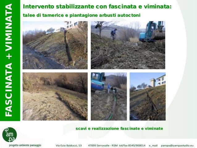 INGEGNERIA NATURALISTICA 1