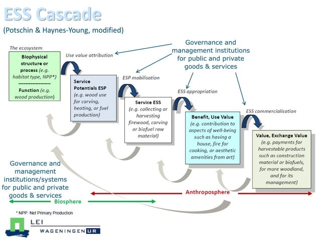 ecosystem services in tropical timber value chains | PPT