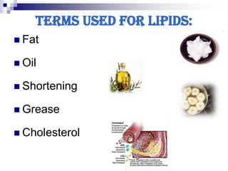 Ingredients and functional roles of edible oils | PDF | Chemistry | Science