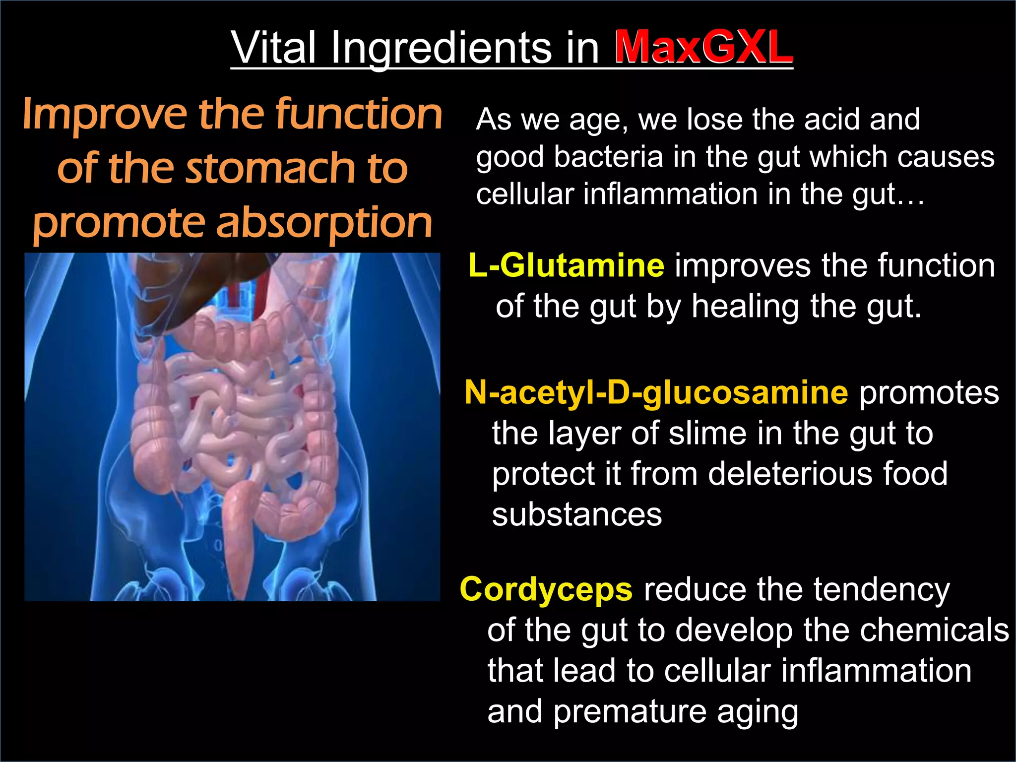 Ingredients of max gxl | PPTX
