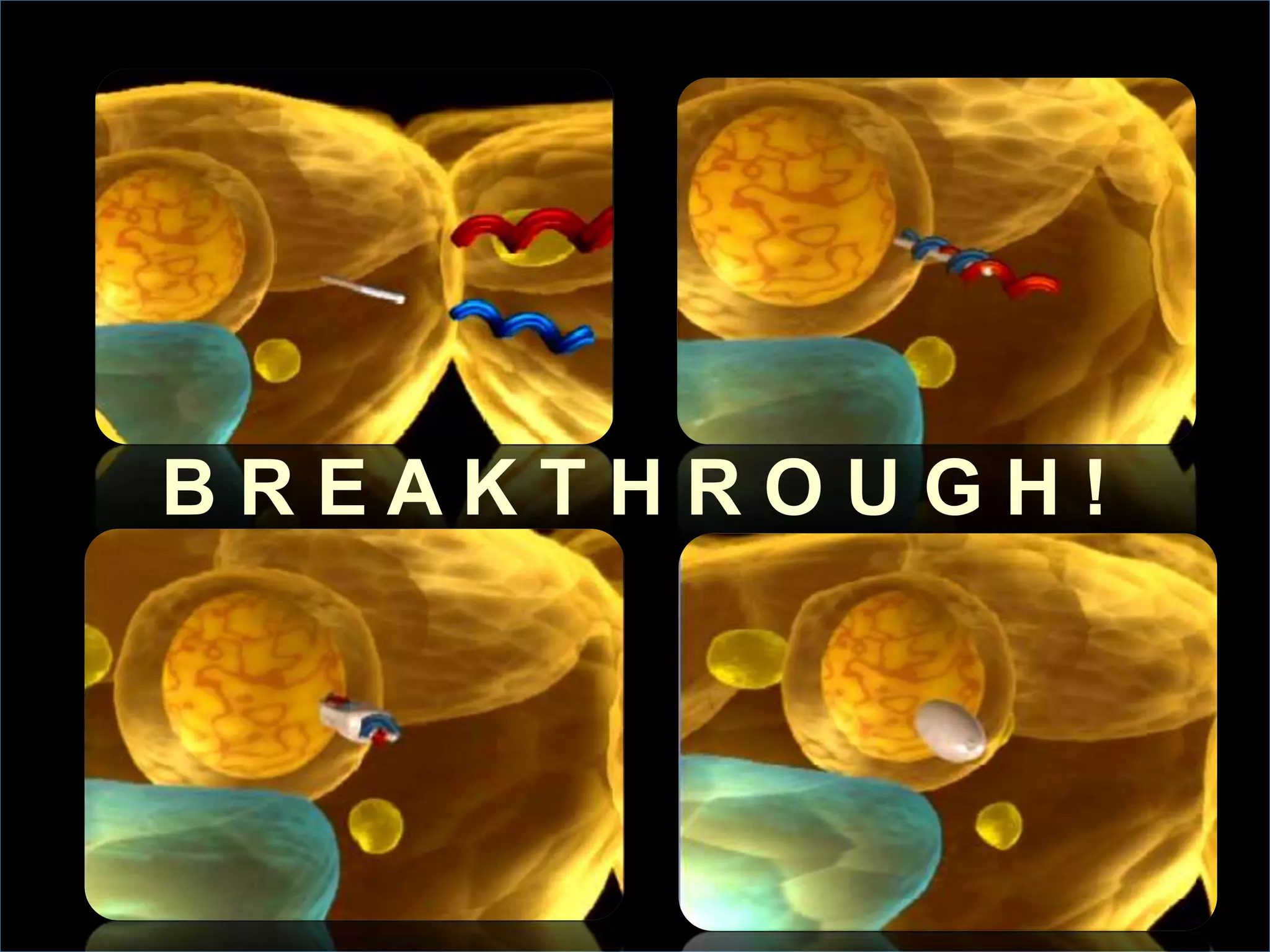 Ingredients of max gxl | PPTX