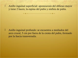 Exploración de región Inguinal | PPT