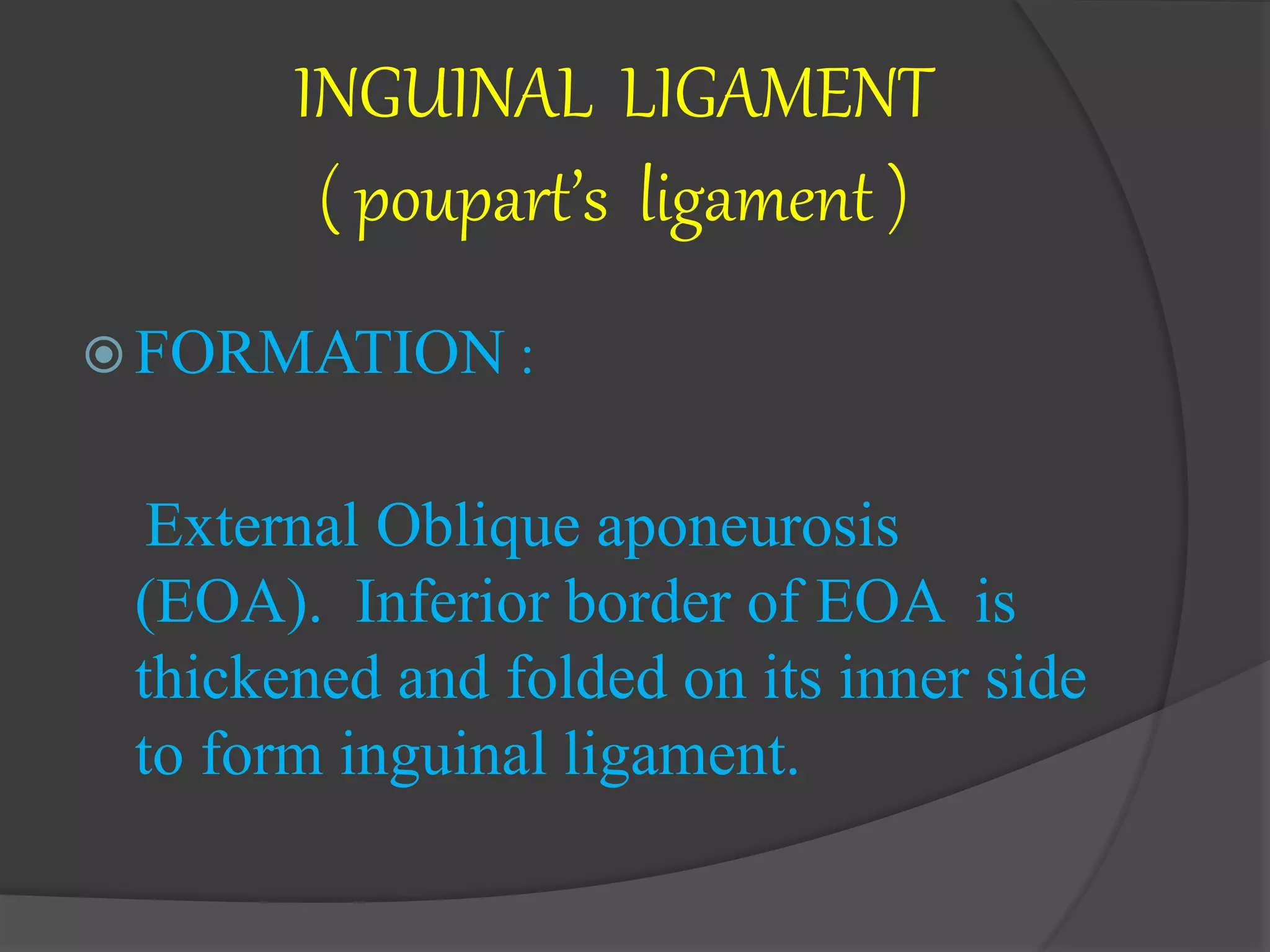 INGUINAL REGION | PPTX