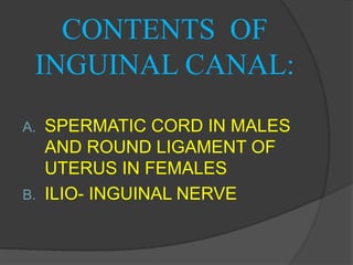 INGUINAL REGION | PPTX
