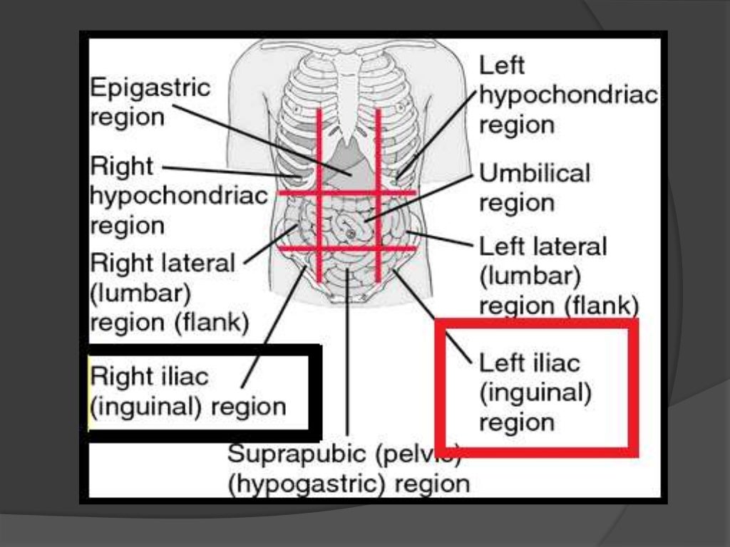 INGUINAL REGION