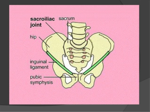 INGUINAL REGION