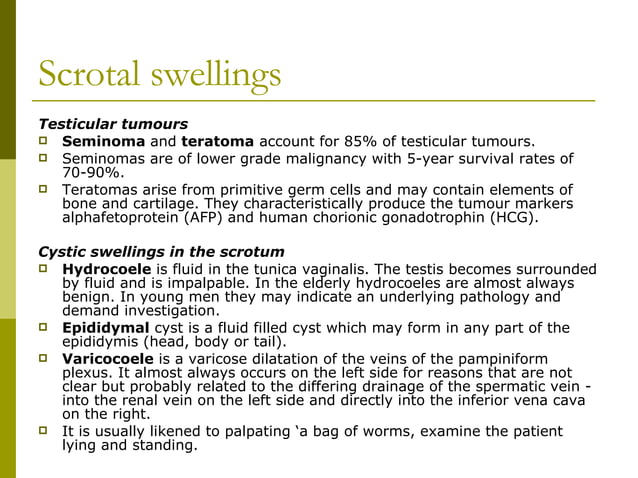 Inguinal And Scrotal Swellings And Scrotal Pain | PPT