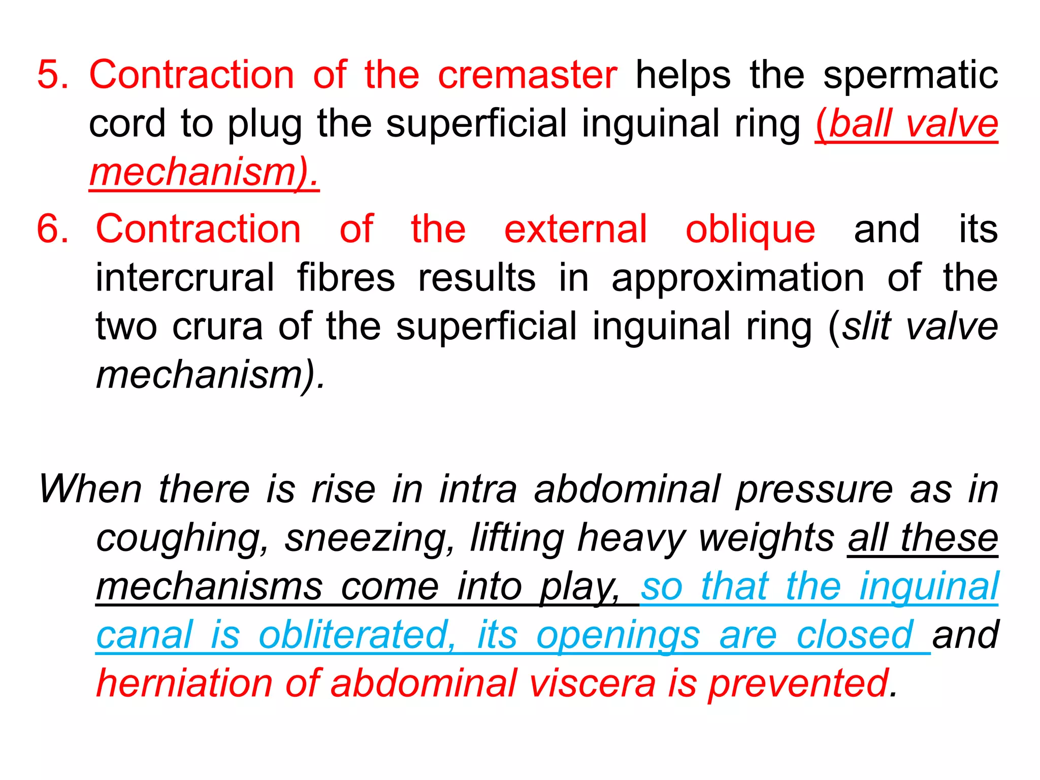 Inguinal canal | PPTX