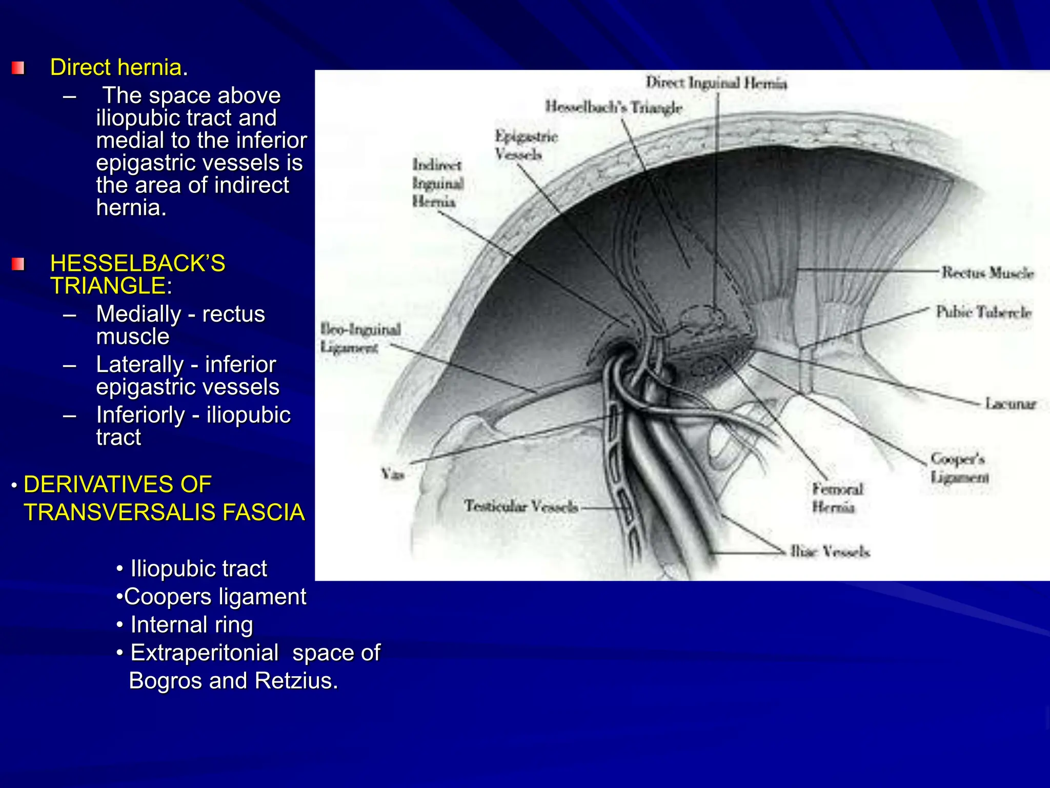 INGUINAL CANAL2.ppt