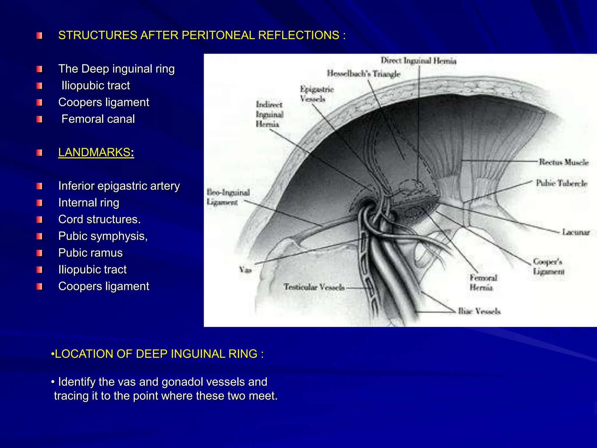 INGUINAL CANAL2.ppt