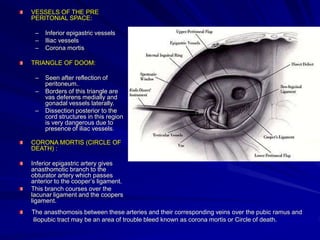 INGUINAL CANAL2.ppt