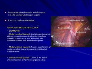 INGUINAL CANAL2.ppt | Pregnancy | Reproductive Health