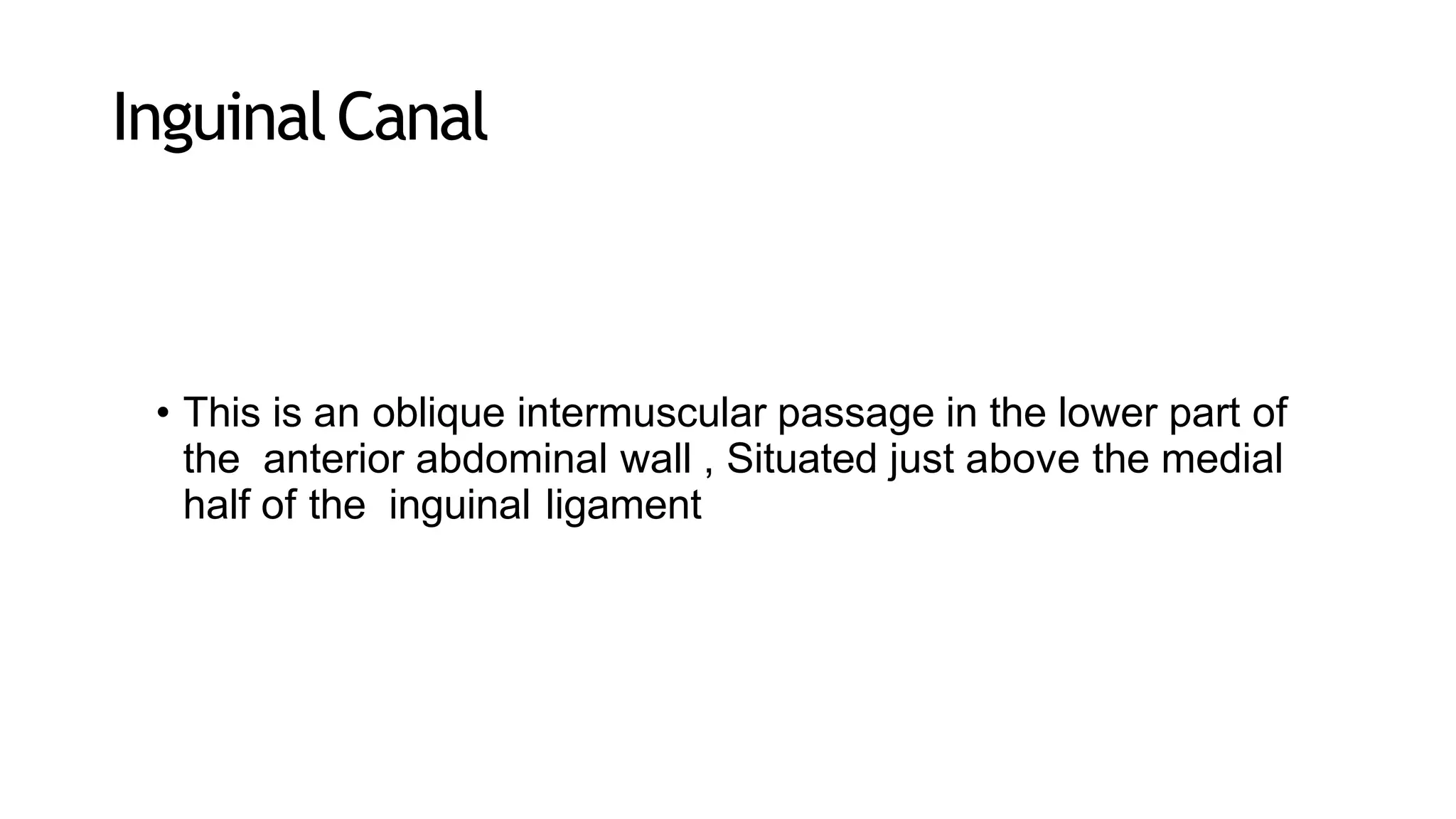 Anatomy Of Inguinal Canal Ppt Canal Inguinal