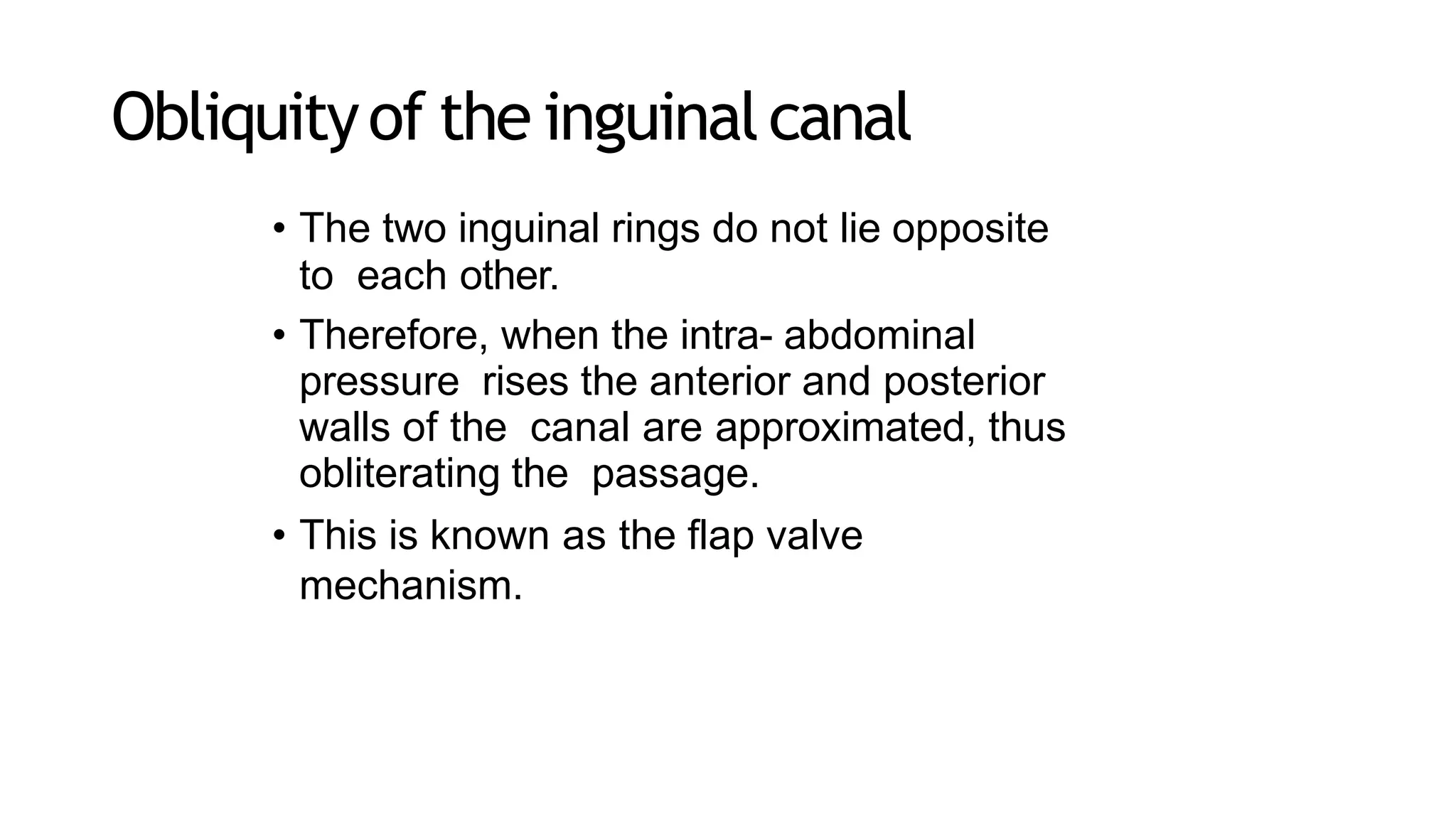 inguinal canal anatomy.pptx
