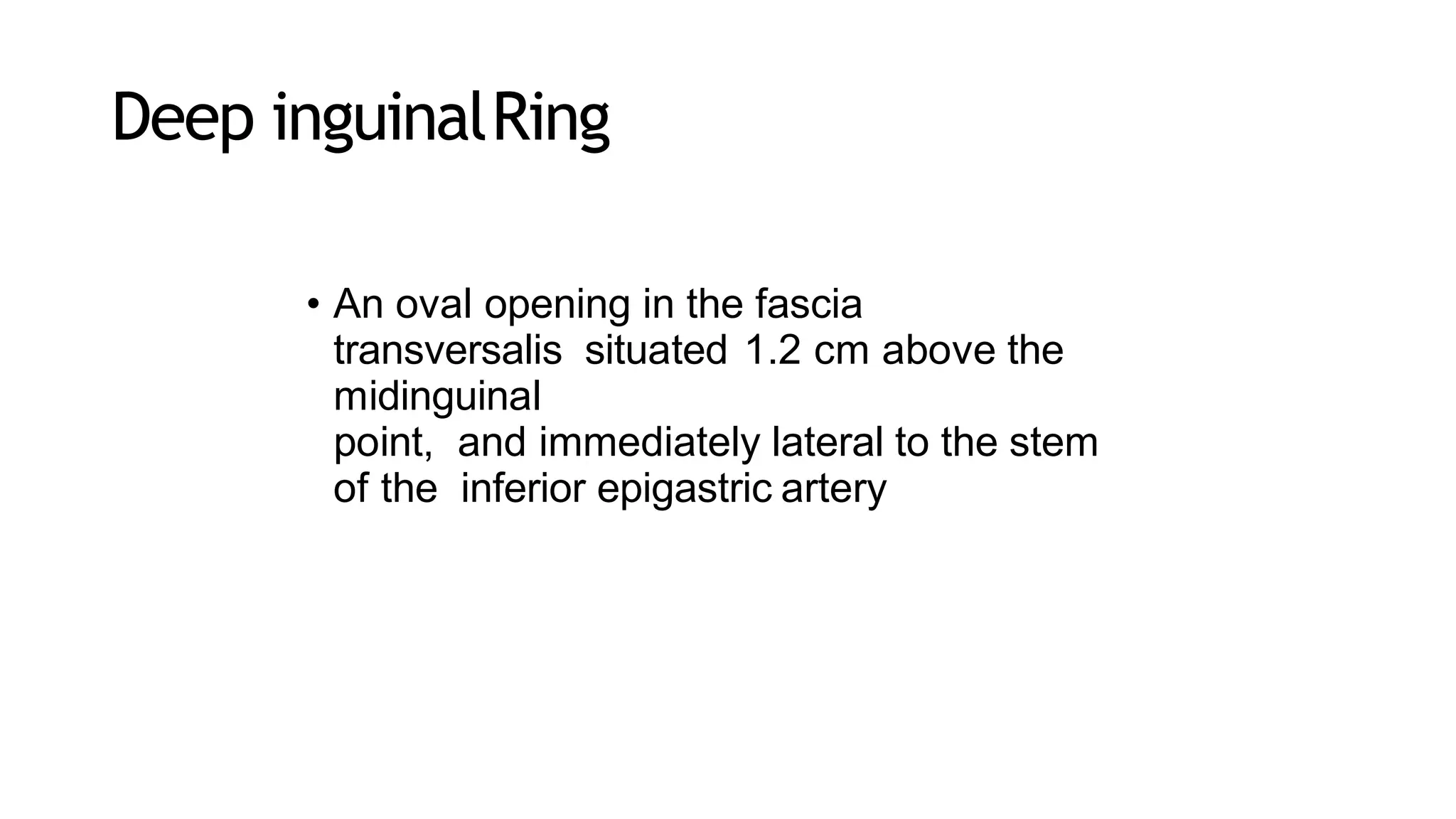 inguinal canal anatomy.pptx