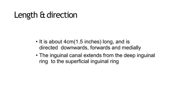 inguinal canal anatomy.pptx