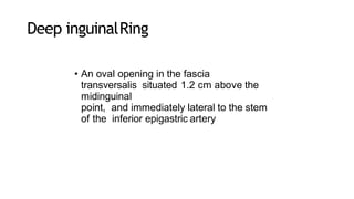 inguinal canal anatomy.pptx