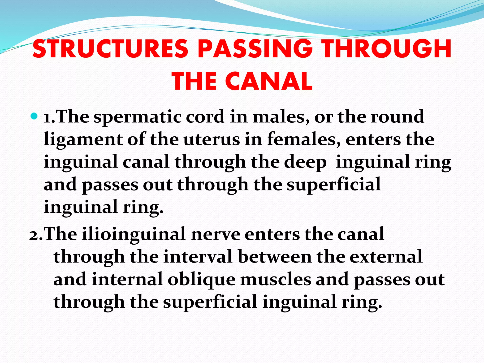 inguinalcanalanatomy-dr-170104140951.pdf