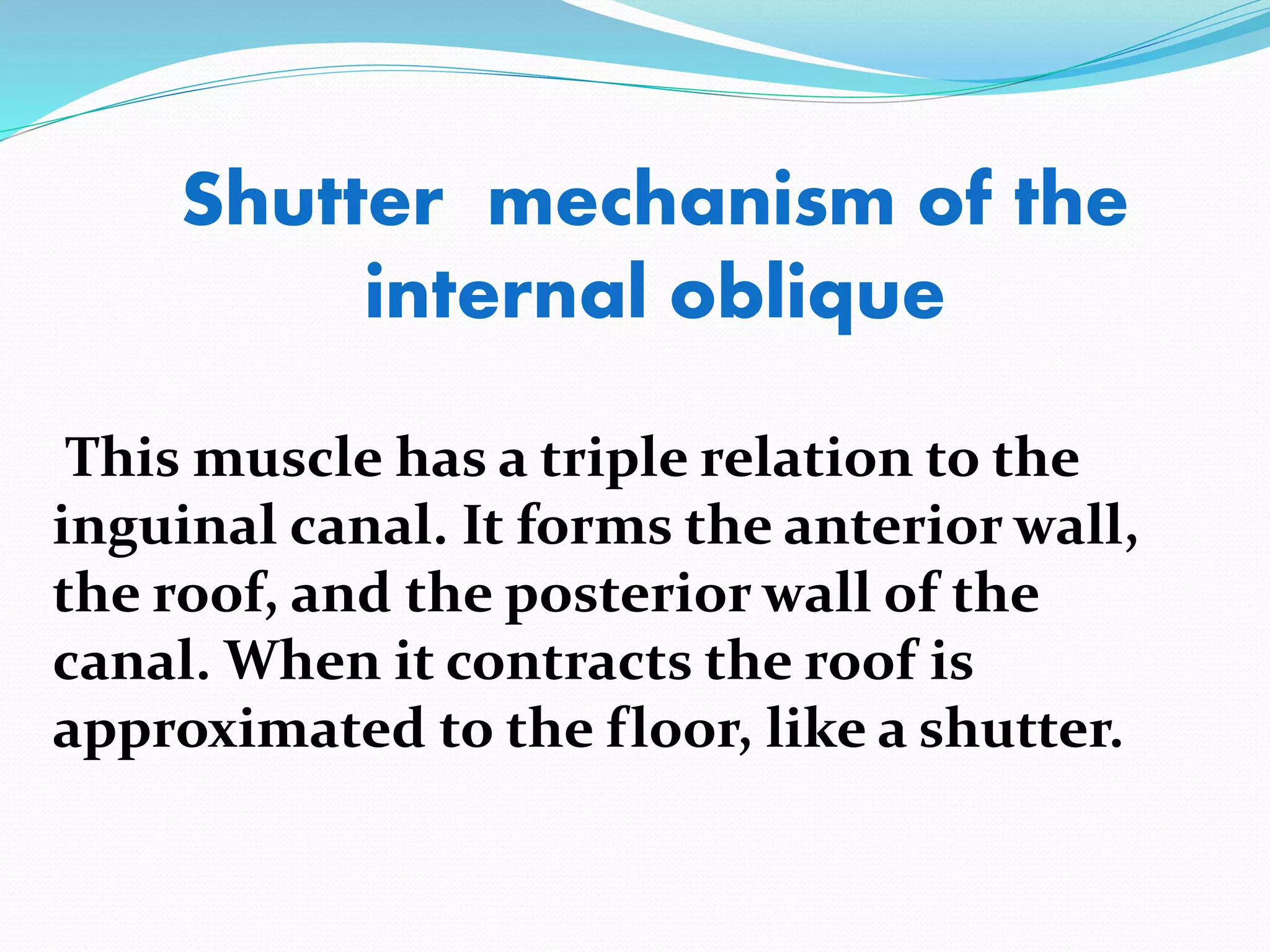inguinalcanalanatomy-dr-170104140951.pdf