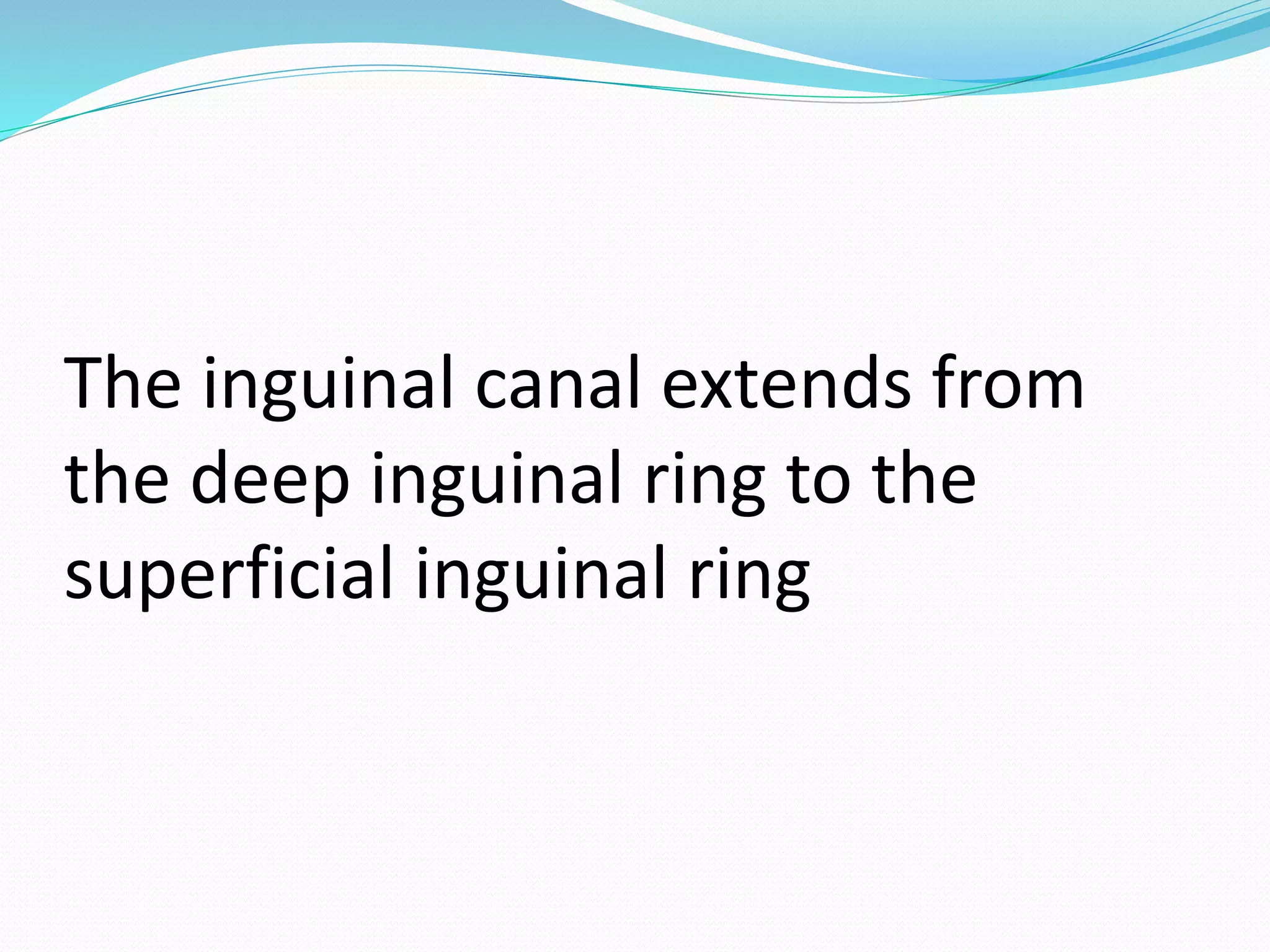 inguinalcanalanatomy-dr-170104140951.pdf