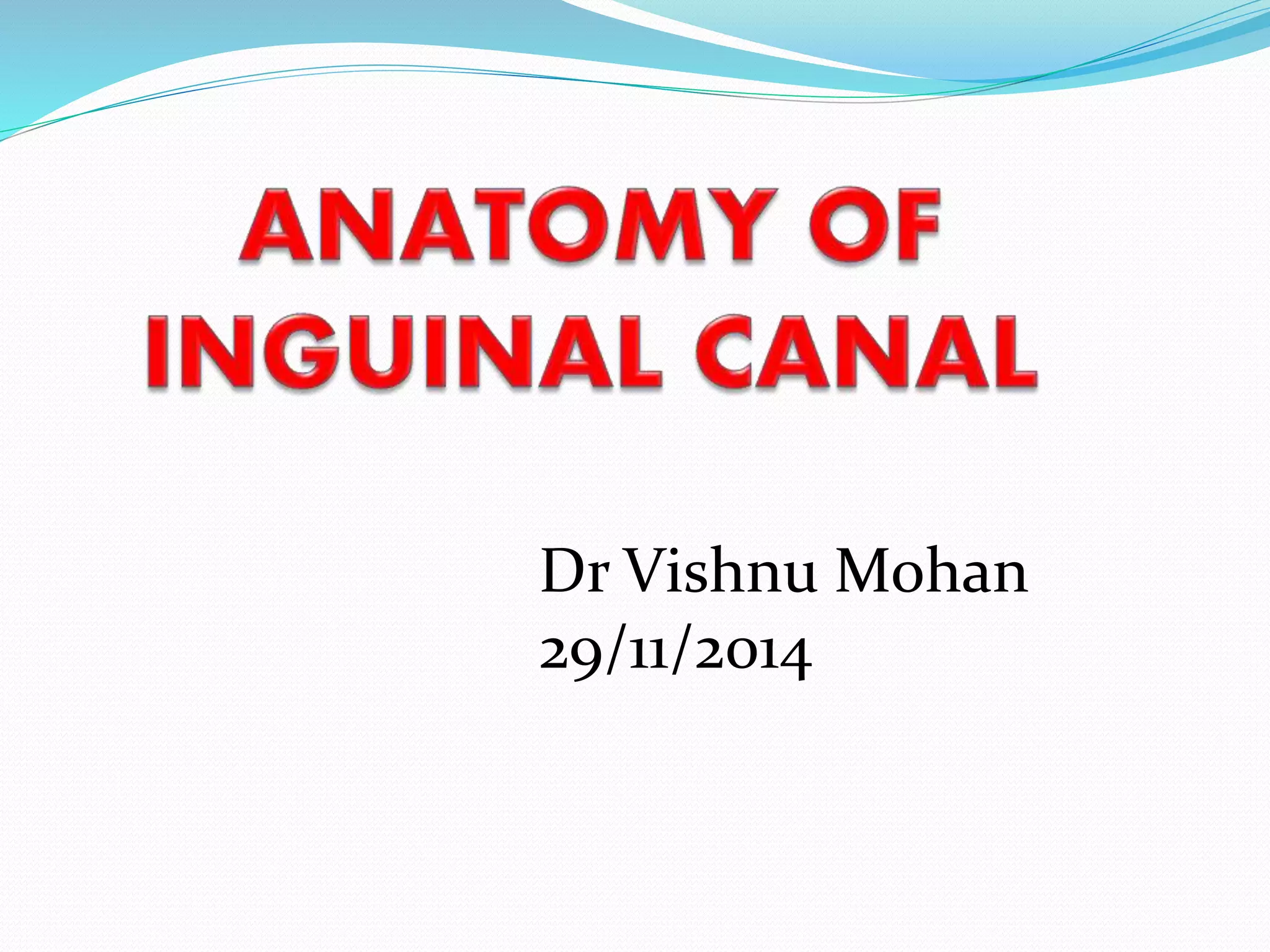 Anatomy Of Inguinal Canal Ppt Canal Inguinal