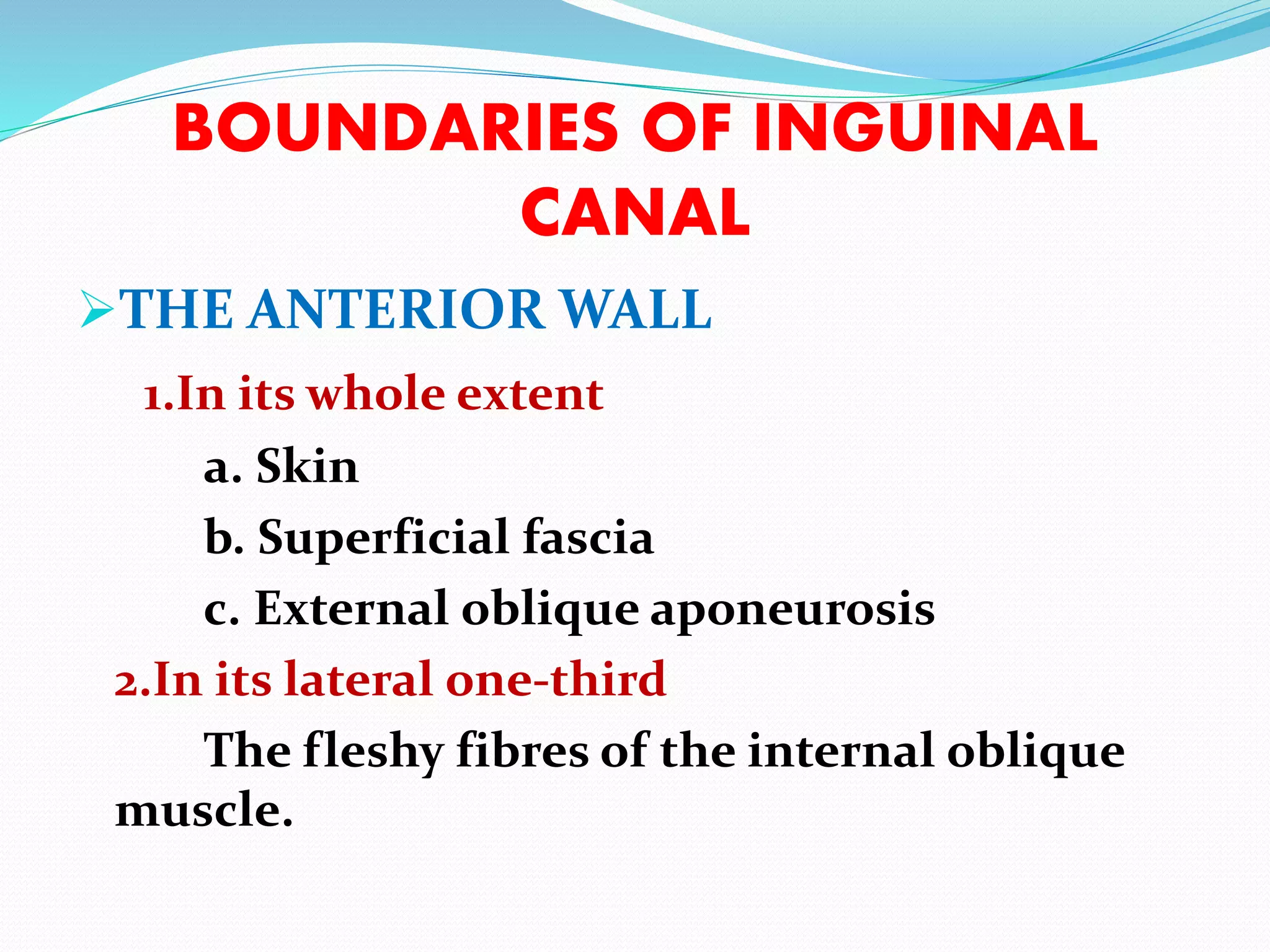 surgical anatomy Inguinal canal anatomy dr.vishnu | PPTX