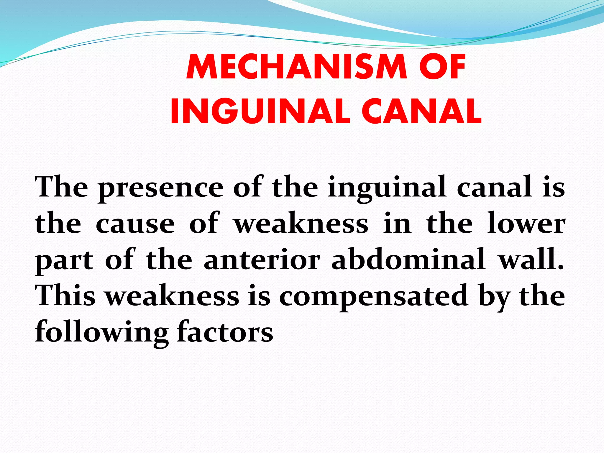 surgical anatomy Inguinal canal anatomy dr.vishnu | PPTX