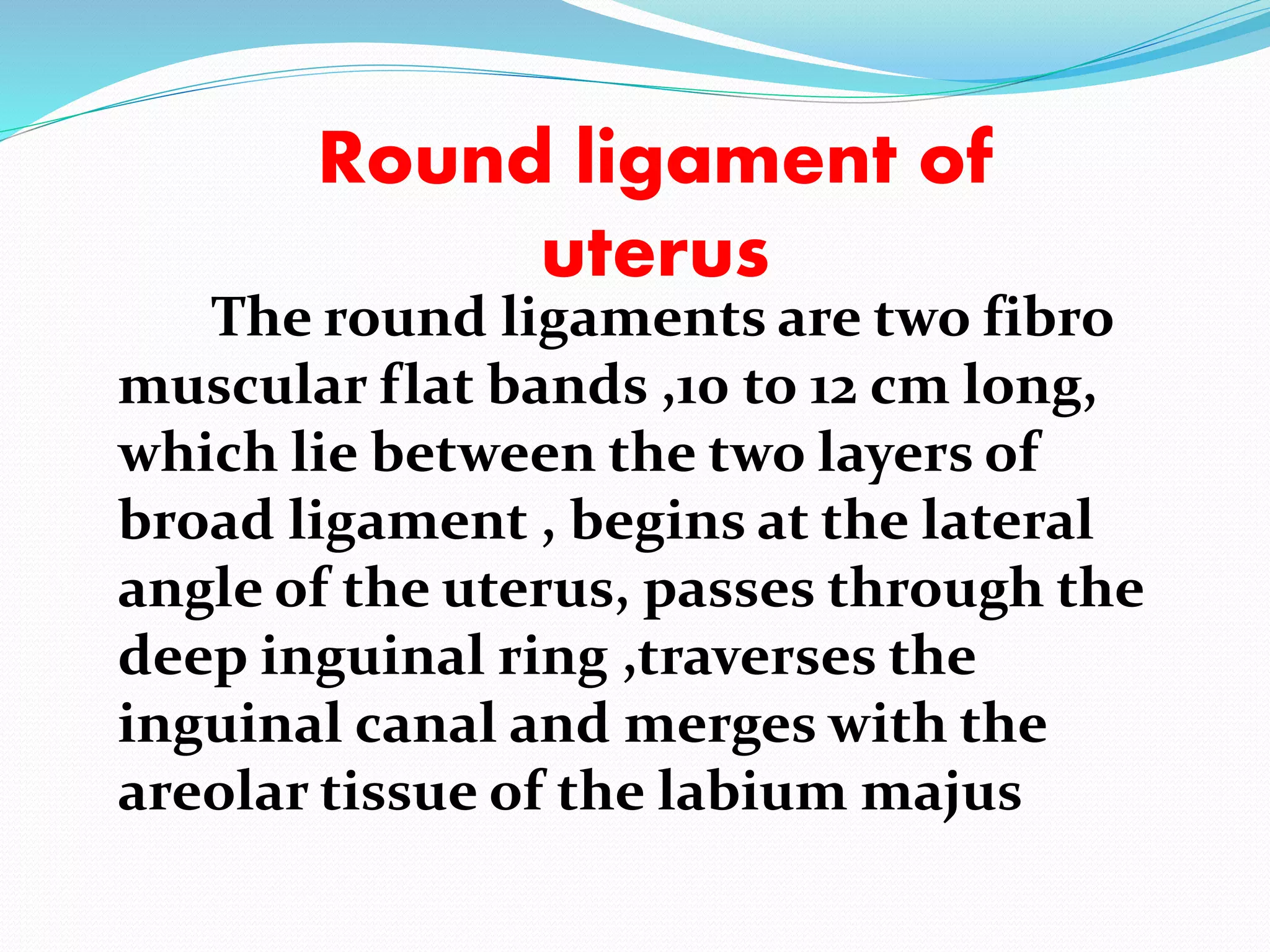 surgical anatomy Inguinal canal anatomy dr.vishnu | PPTX
