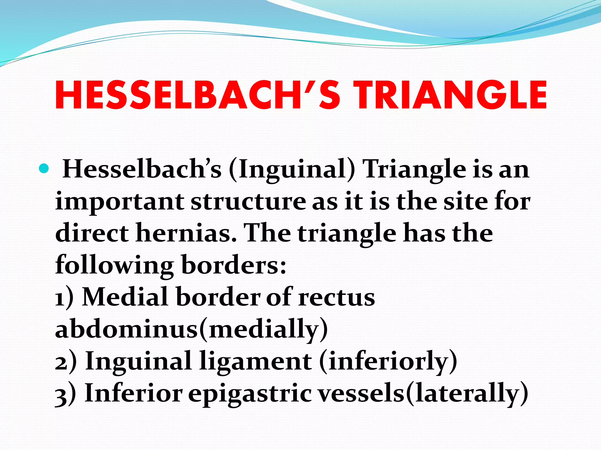 surgical anatomy Inguinal canal anatomy dr.vishnu | PPTX