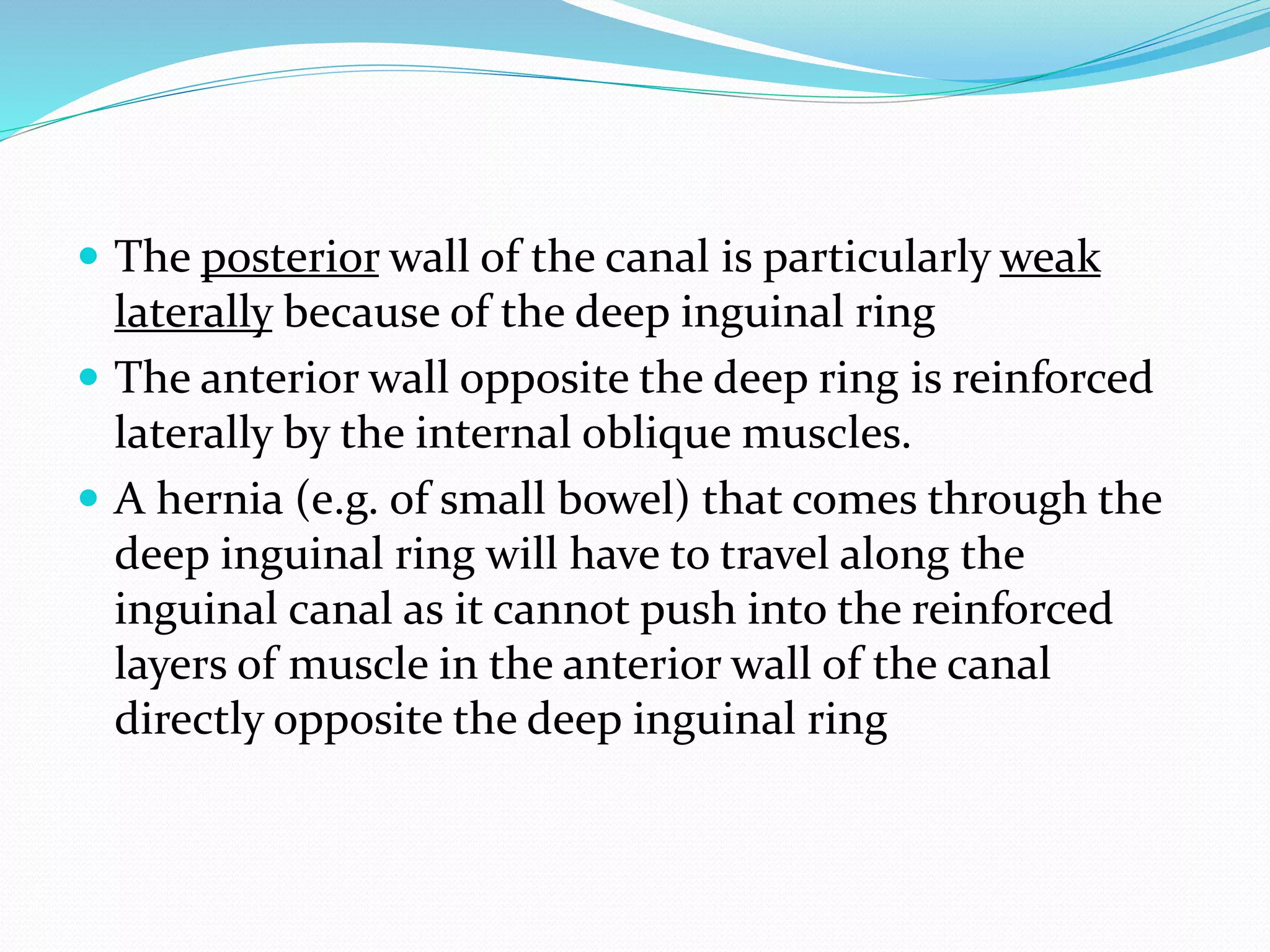 surgical anatomy Inguinal canal anatomy dr.vishnu | PPTX