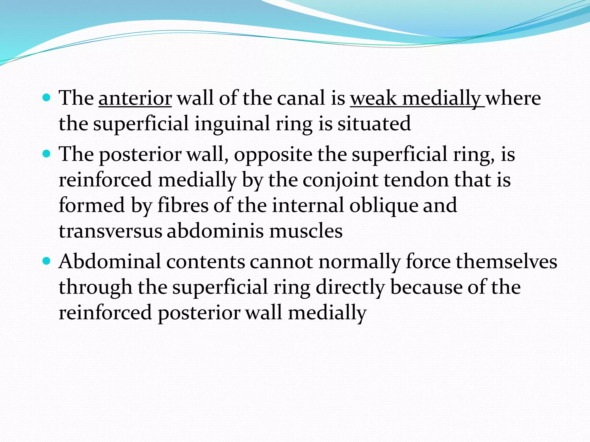 surgical anatomy Inguinal canal anatomy dr.vishnu | PPTX
