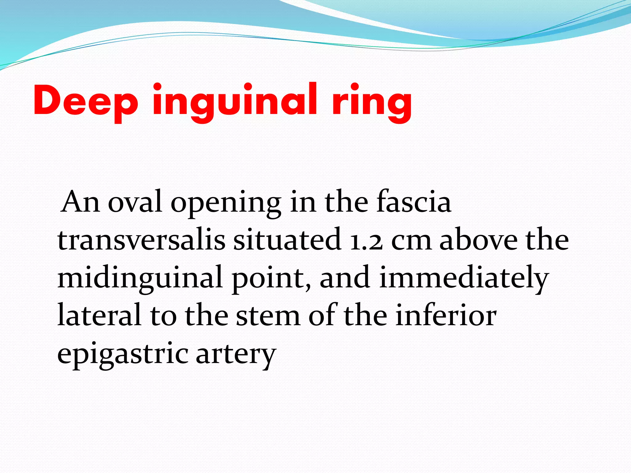 surgical anatomy Inguinal canal anatomy dr.vishnu | PPTX