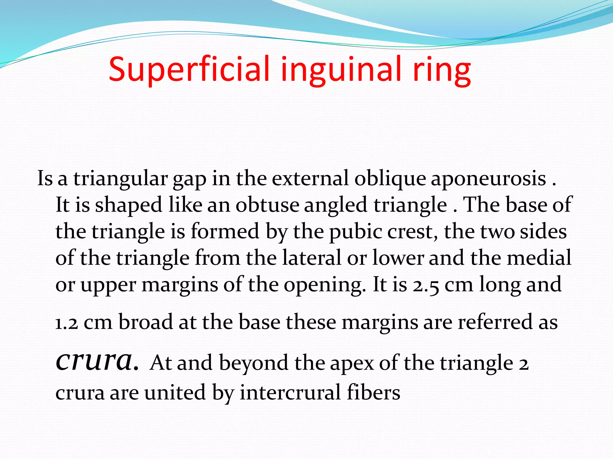 surgical anatomy Inguinal canal anatomy dr.vishnu | PPTX
