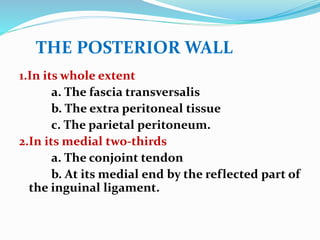surgical anatomy Inguinal canal anatomy dr.vishnu | PPTX