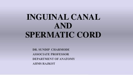 Inguinal canal and spermatic cord.pptx