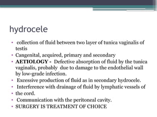 INGUINAL CANAL ,SCROTUM AND TESTIS.pptx112 | PPTX