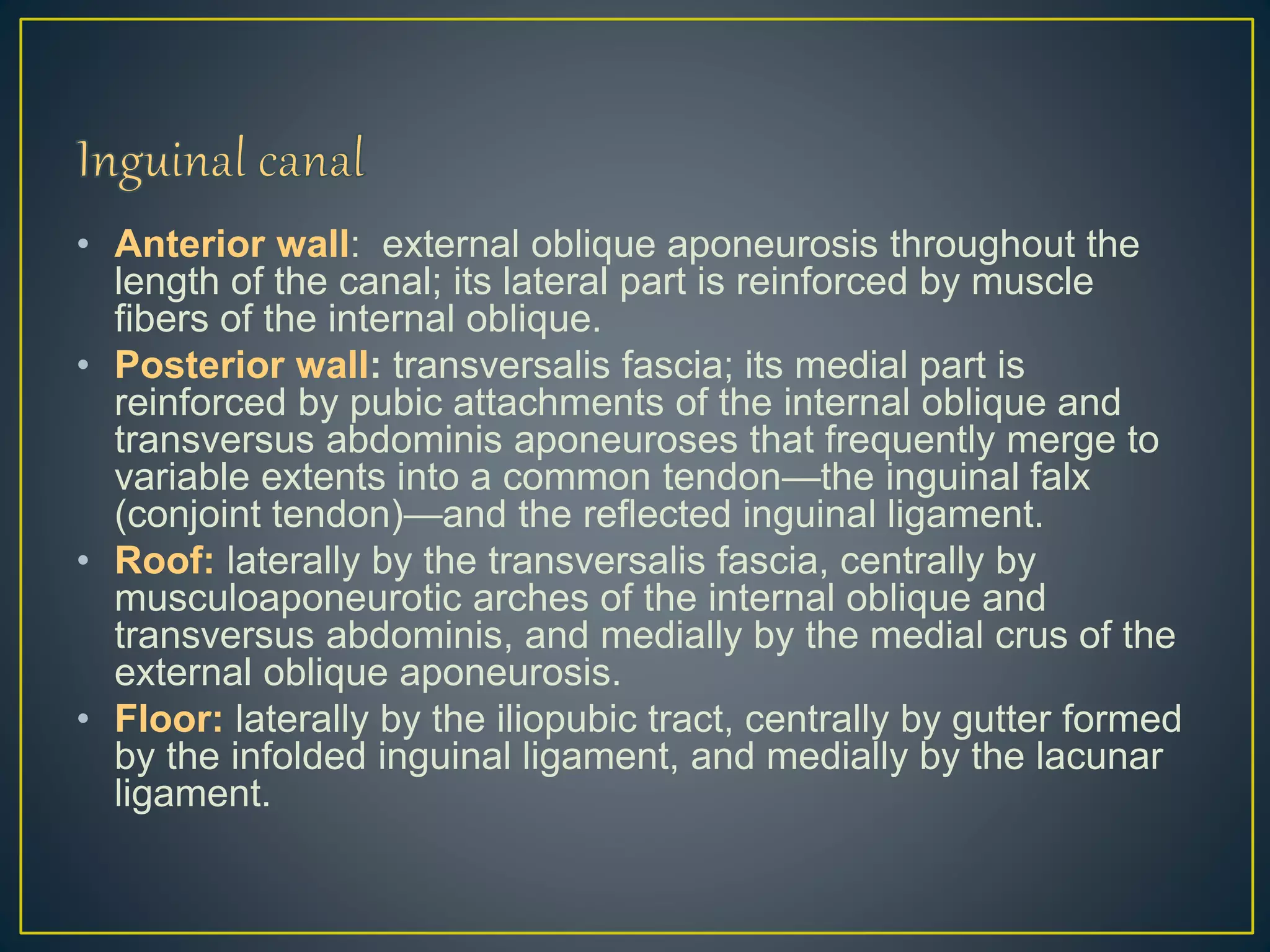 Inguinal hernia ppt | PPTX