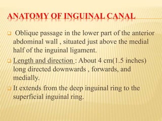 Inguinal hernia | PPTX