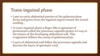 Inguinal hernia ; Treatment & Pathophisiology presentation | PPTX